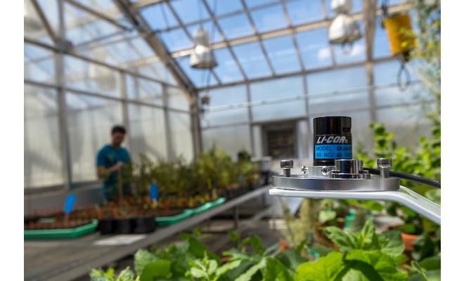 LI-COR LI-190R Quantum Sensor LI-190R | Onset's HOBO Data Loggers