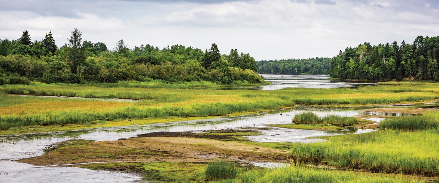 Evapotranspiration | Onset's HOBO Data Loggers