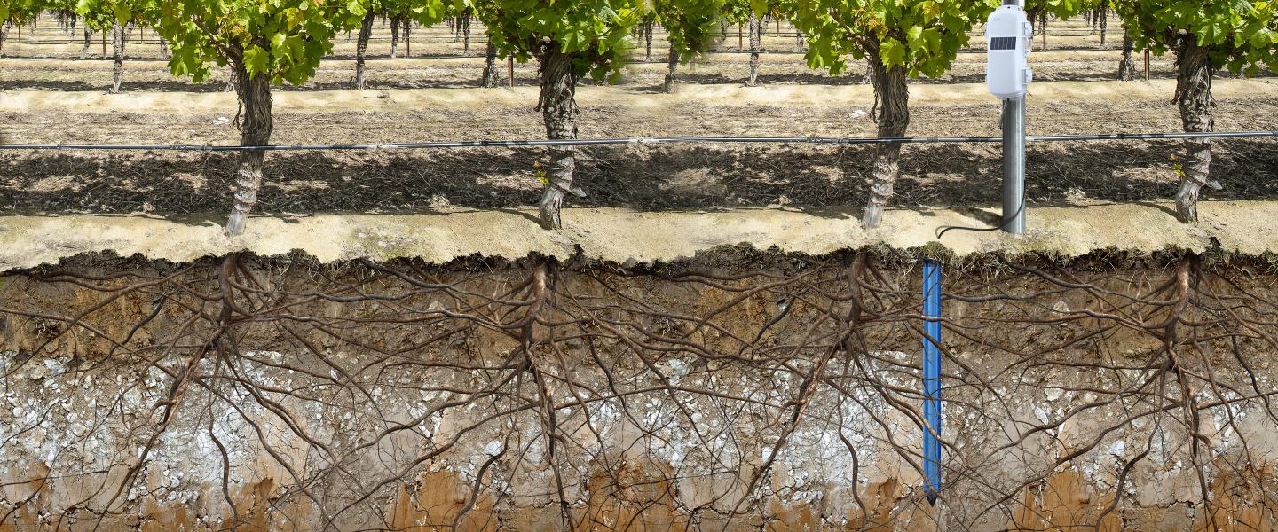 Orchard | Vineyard Monitoring Systems | Onset Weather Stations