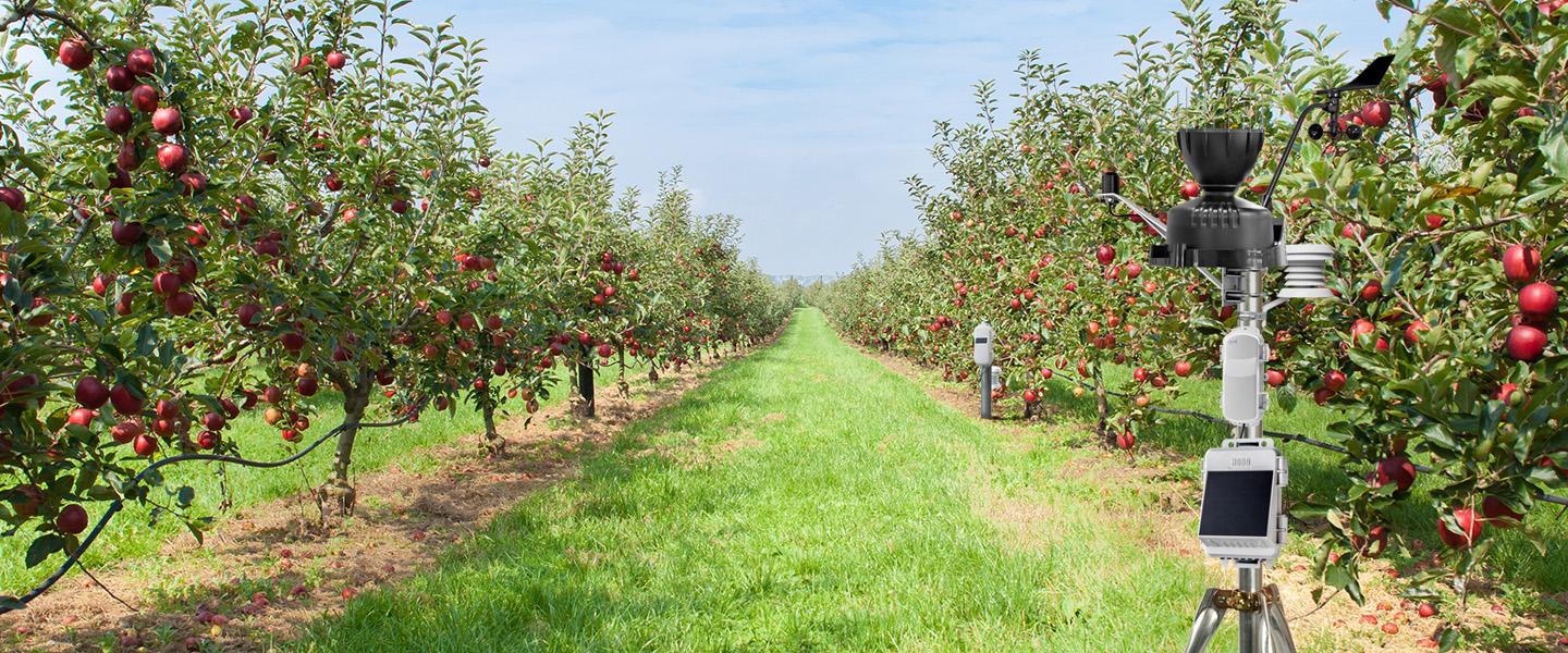 Orchard | Vineyard Monitoring Systems | Onset Weather Stations