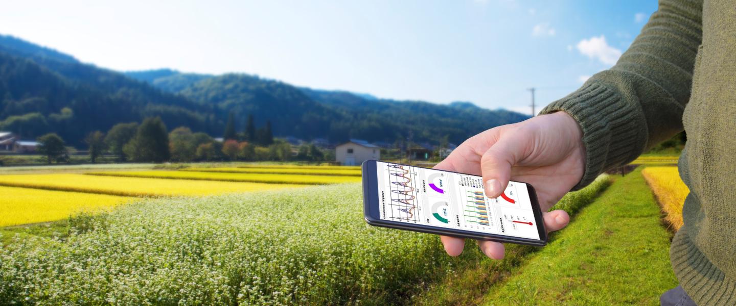 RX3000 Weather Station | Onset's HOBO Data Loggers