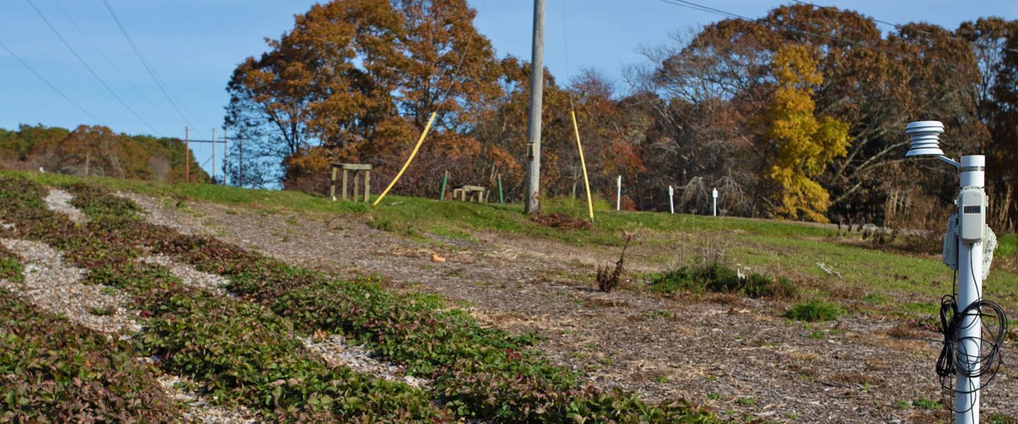 Utilizing Data Loggers for Agricultural Research & Environmental ...
