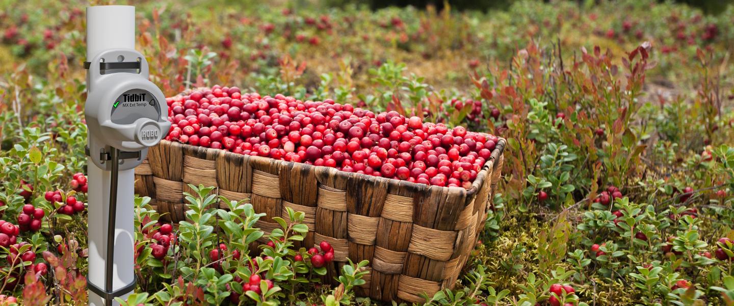 Waterproof Temperature Data Loggers | Onset's HOBO Data Loggers