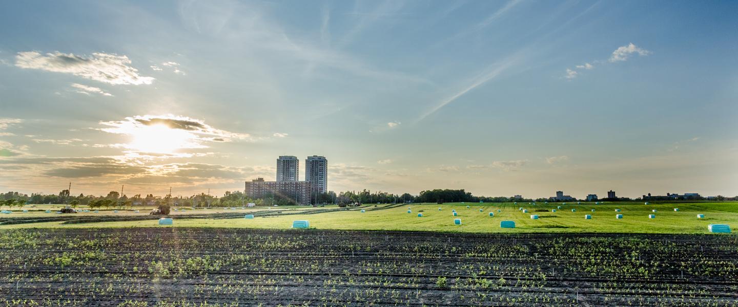 HOBOnet Wireless Sensor Network | Onset's HOBO Data Loggers