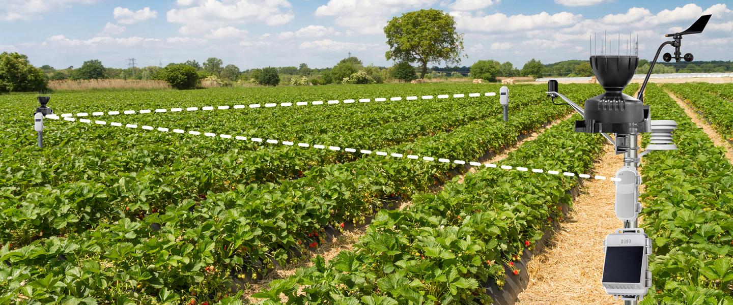 Light Monitoring | Onset's HOBO Data Loggers