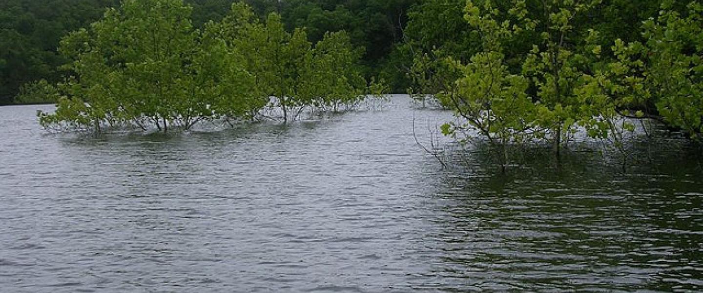 Data Loggers Monitor Lakes for Signs of Global Warming | Onset's HOBO ...